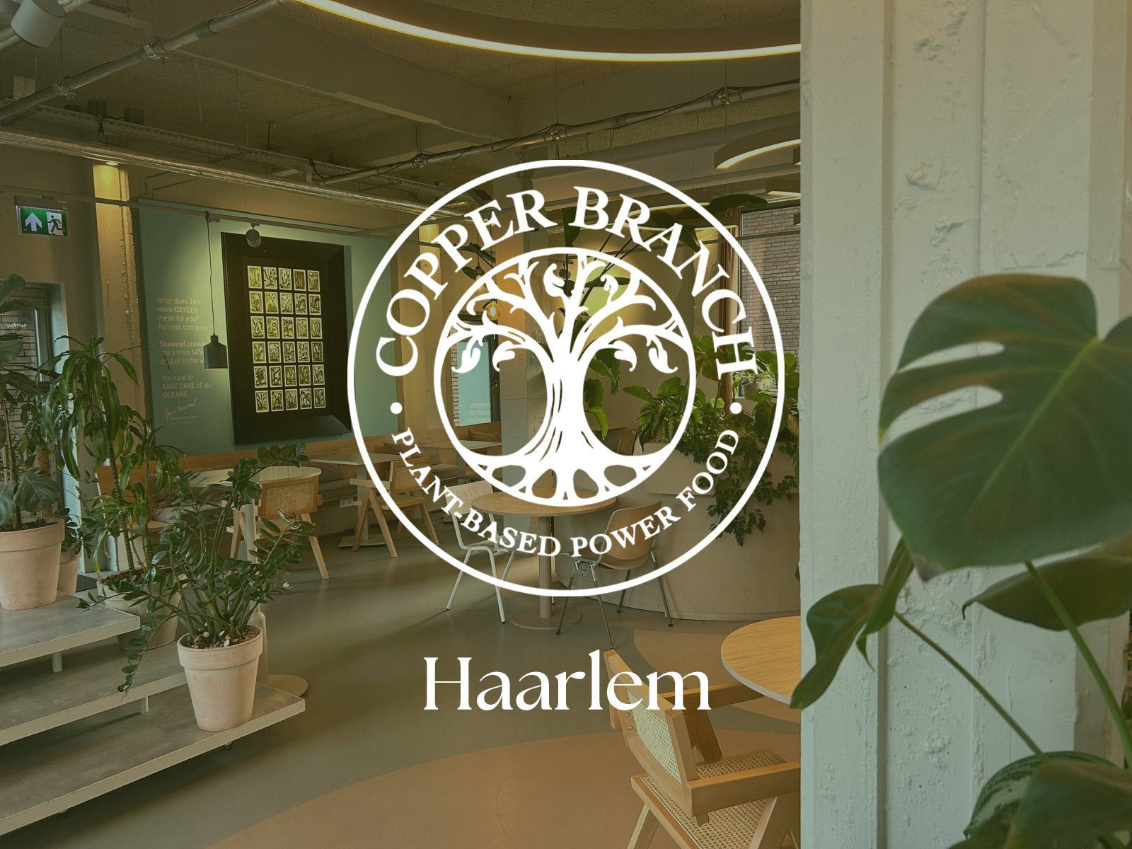 Copper Branch Nederland